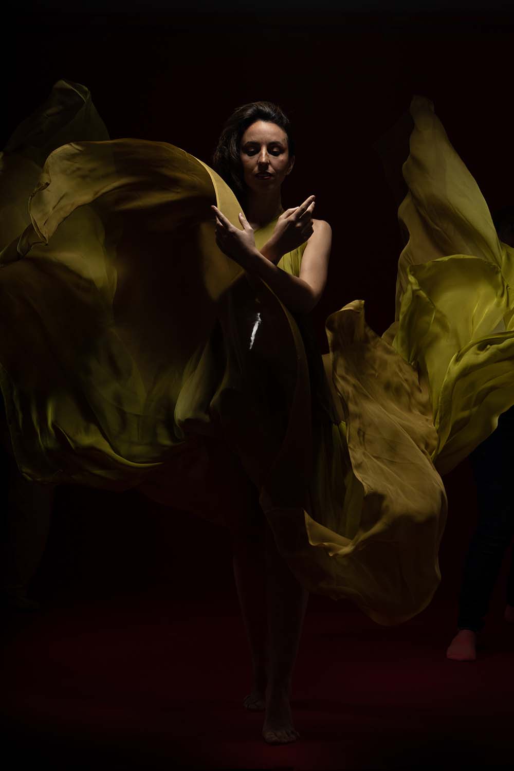 Ana Gamarra - Cuando la luz te impide ver, La Ampliadora